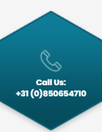 The impact of seasonal fluctuations on supply chain performance